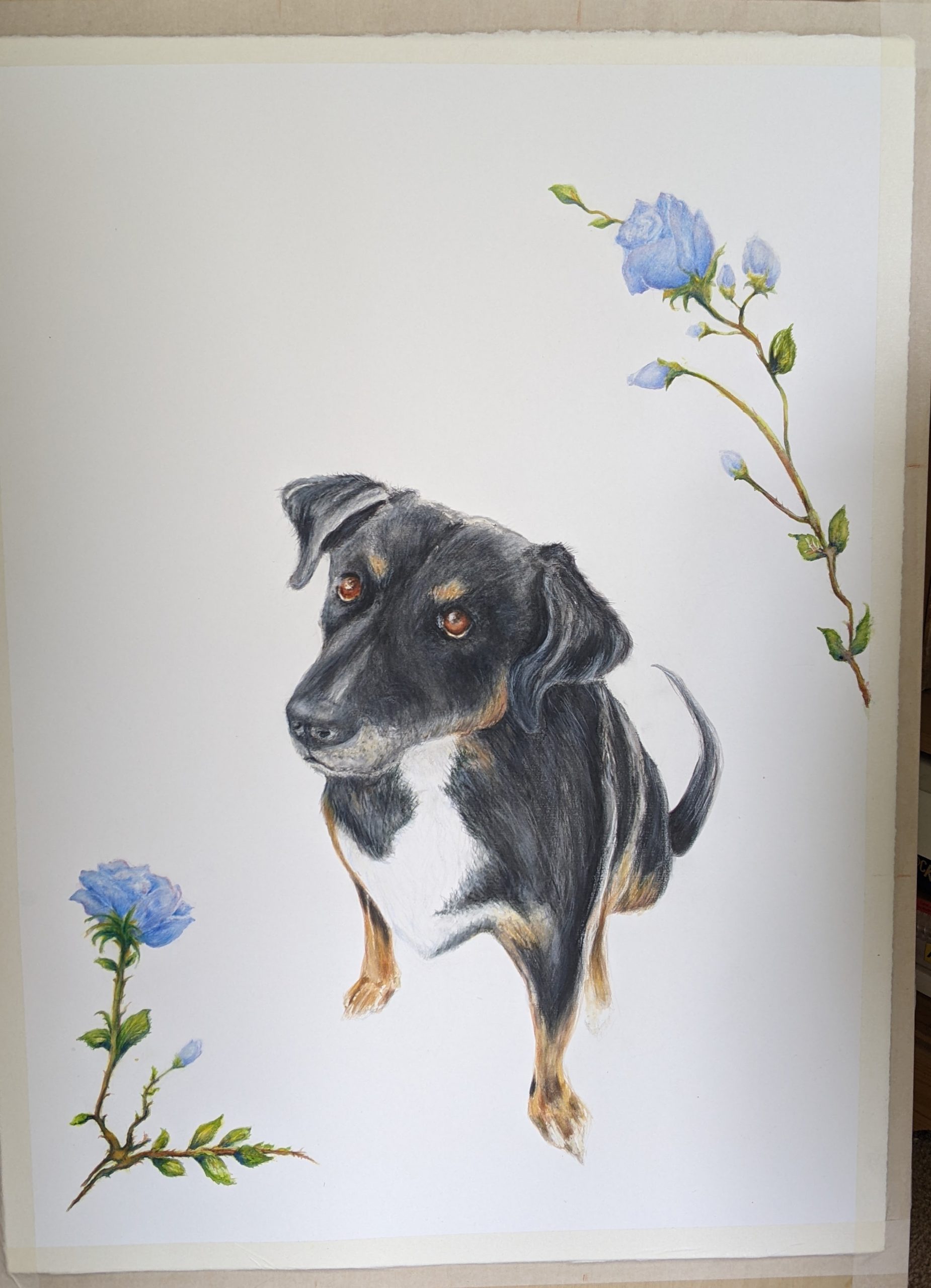 A Day in the Life of a Pet Portrait Artist ~ Emma Herbert